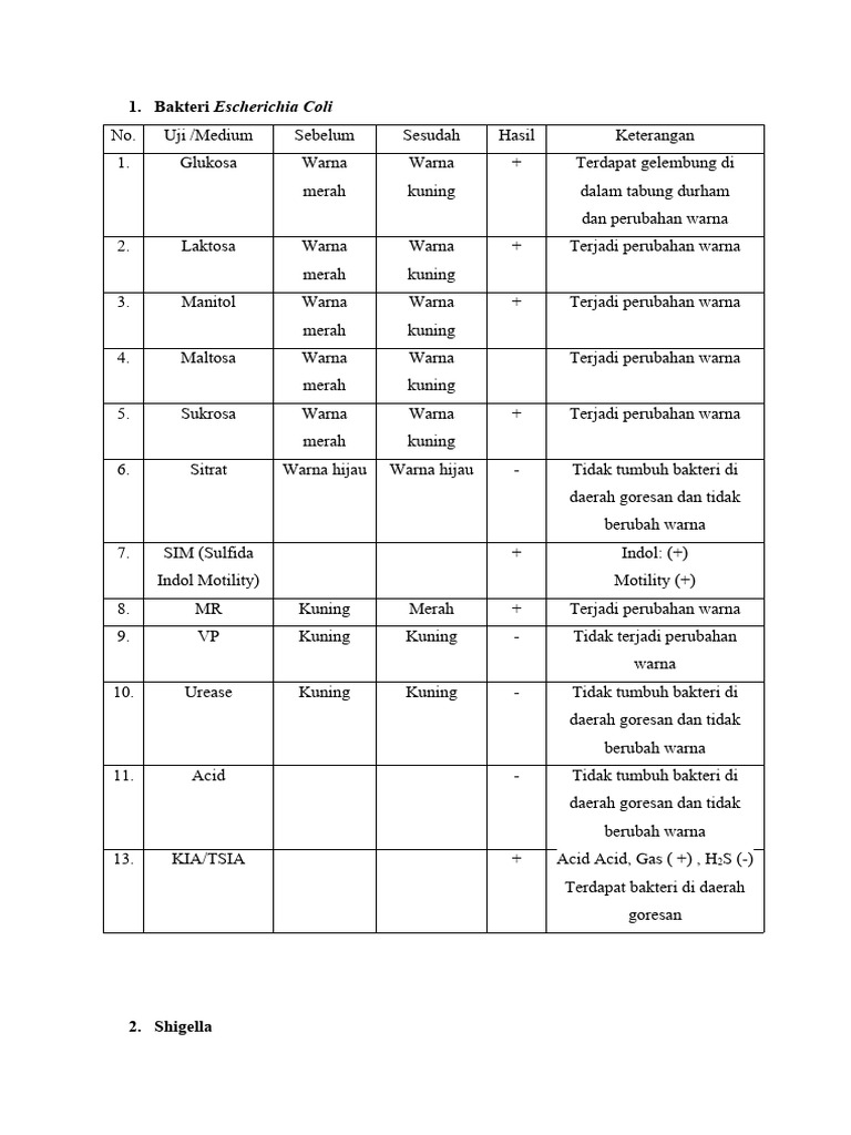 Tugas Uji Biokimia Bakteri | PDF