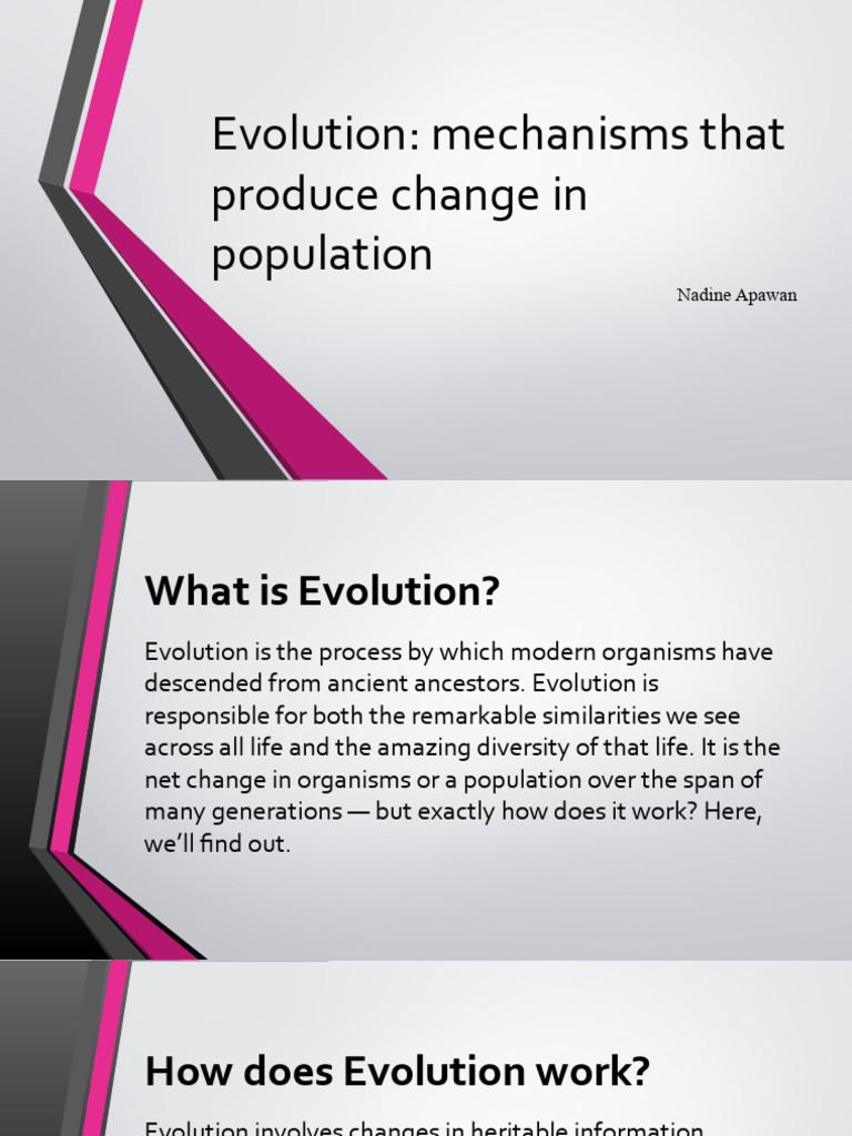 Mechanisms of Evolution Explained | PDF | Mutation | Evolution