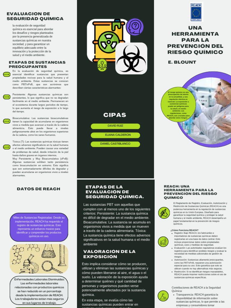 PLEGABLE RIESGO QUIMICO | PDF | Entorno natural