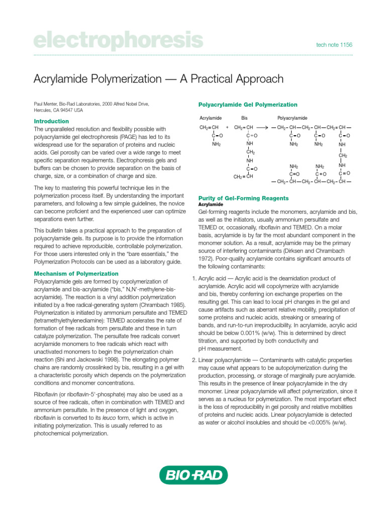 Acrylamide Polymerization | PDF | Polyacrylamide Gel Electrophoresis ...
