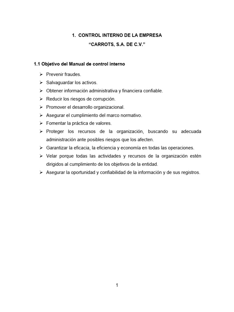 Manual de Control Interno de CARROTS S.A. | PDF | Contabilidad | Bancos