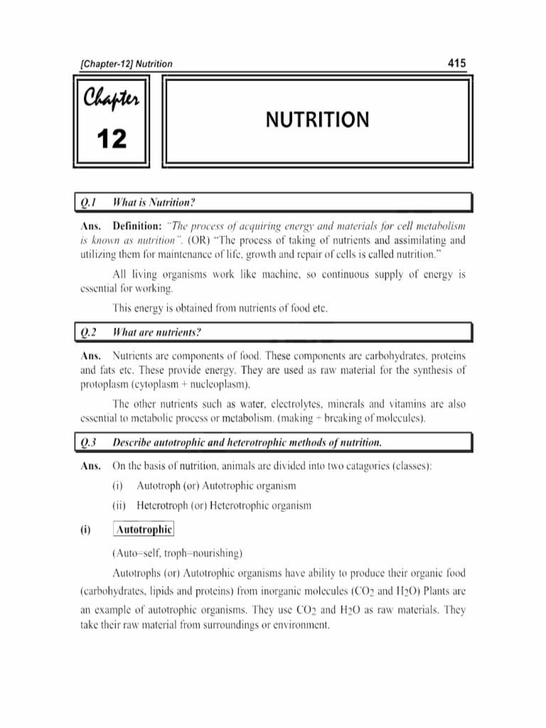 Chapter 12 Biology Notes 11th Class | PDF