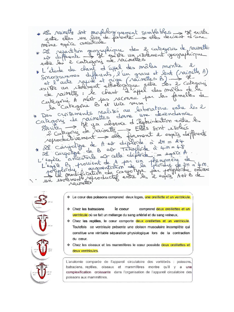 Evolution Bio | PDF