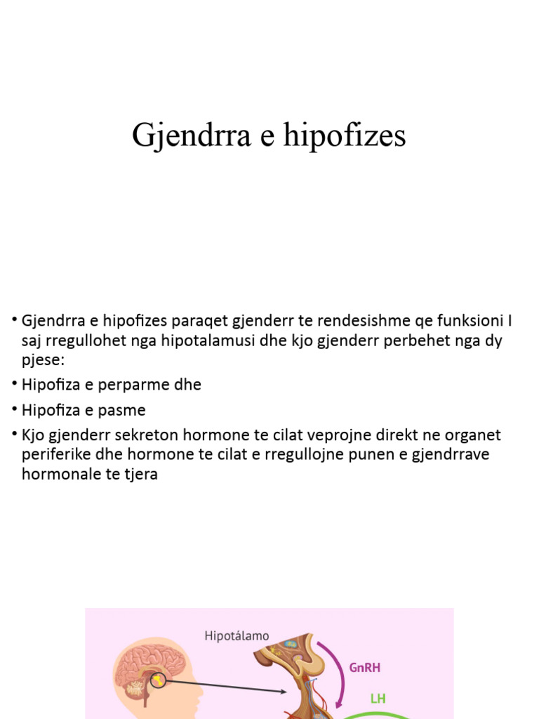 Gjendrra e Hipofizes | PDF