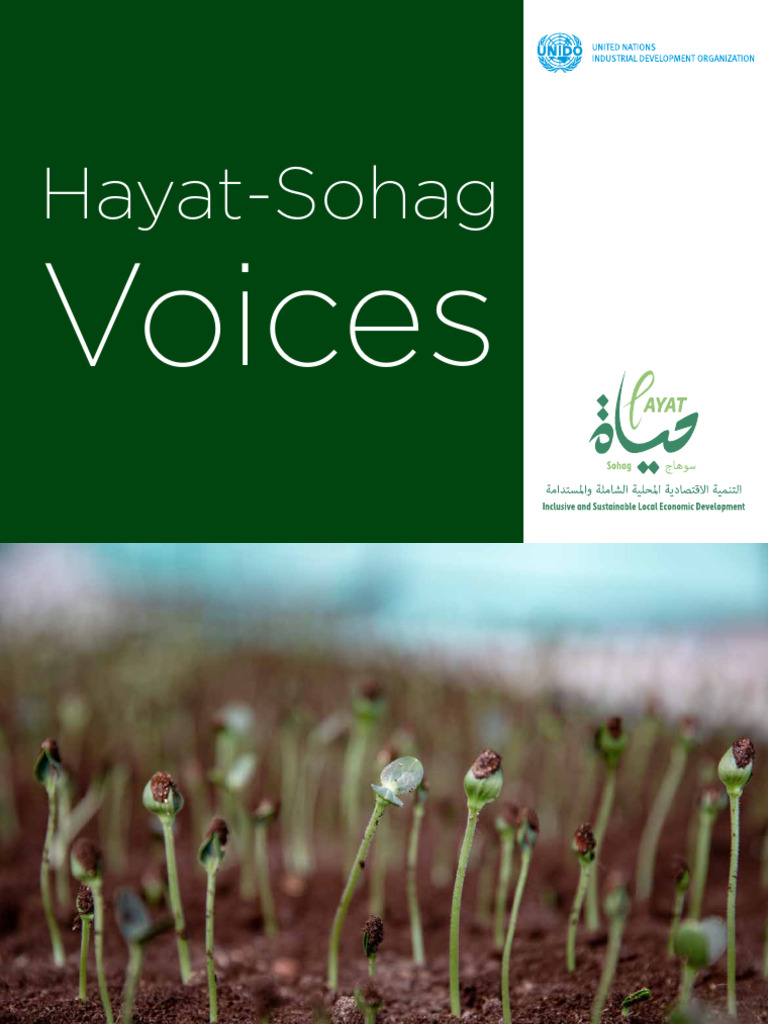 Hayat-Sohag Voices Brochure | PDF | Pesticide | Entrepreneurship