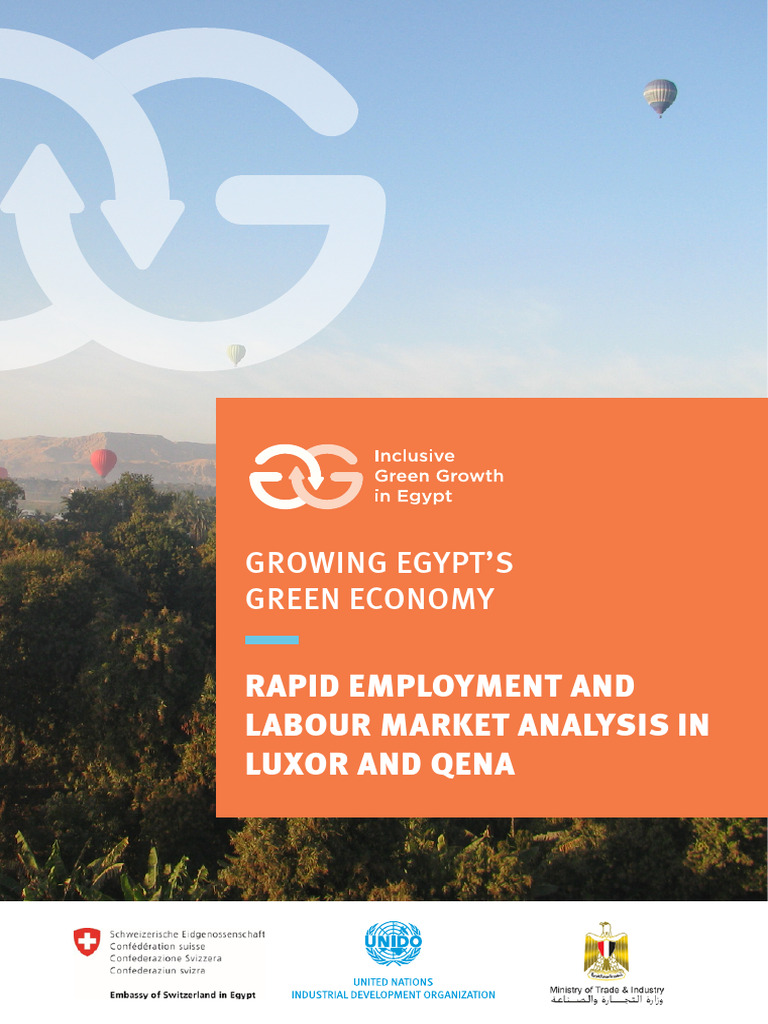 Rapid Employment and Labour Market Analysis in Luxor and Qena | PDF ...