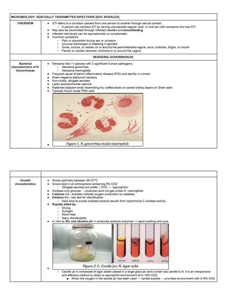 MODULE 9.4 + MICROBIO + STUDY GUIDE | PDF | Sexually Transmitted Infection | Vagina