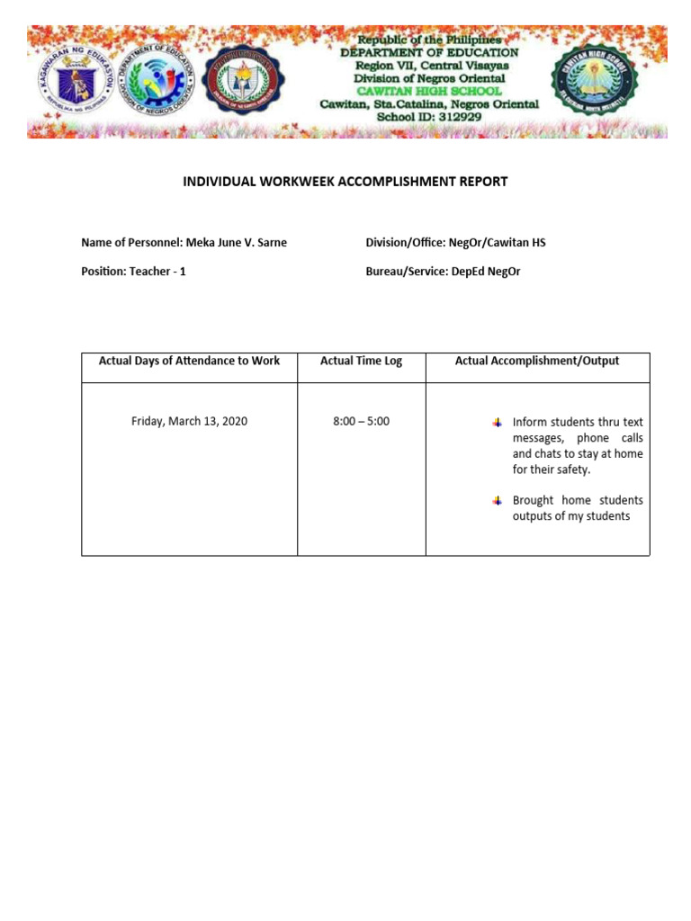 Individual Workweek Accomplishment Report | PDF