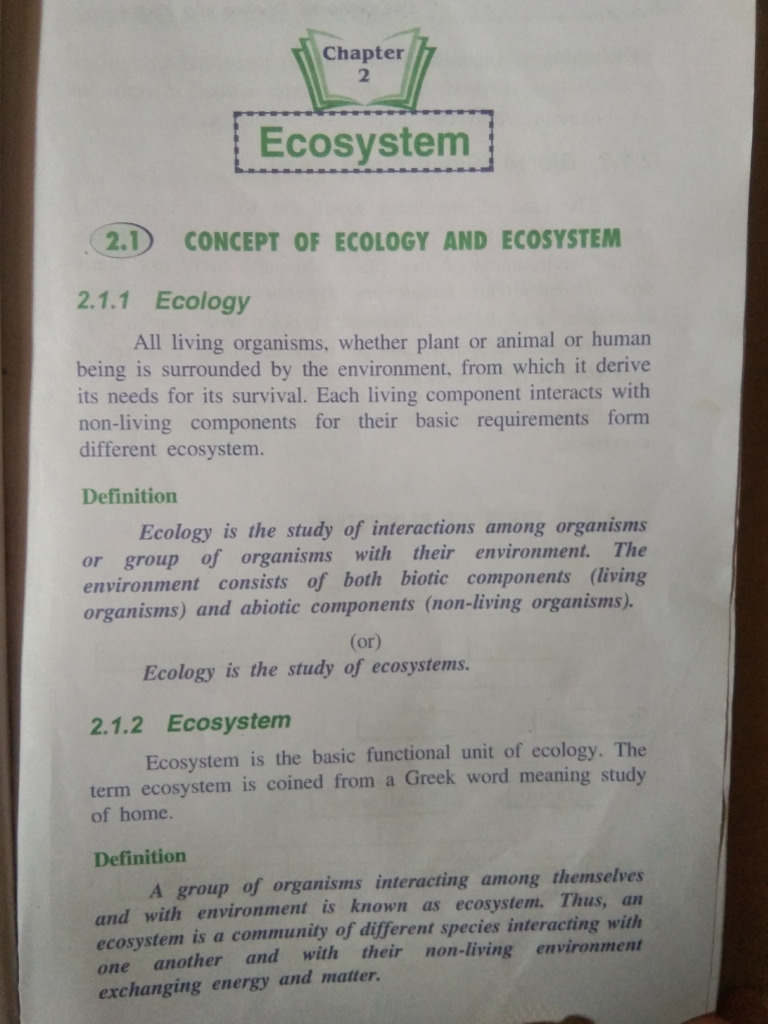 Ecosystem | PDF | Ecosystem | Ecology