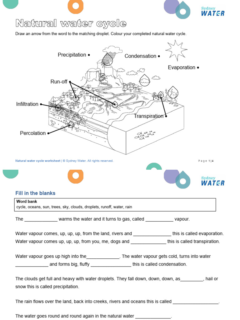 The Water Cycle Worksheets | PDF | Water Cycle | Water