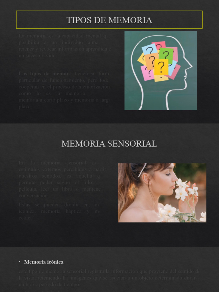 Tipos de Memoria | PDF | Memoria | Sentidos
