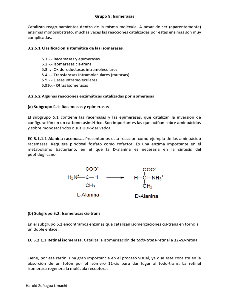 Grupo 5 Isomerasas | PDF | Adn | Enzima