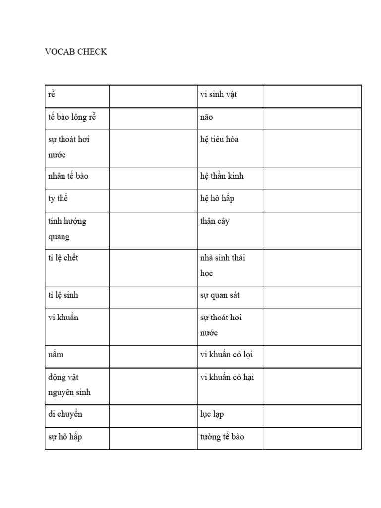 Vocab Check | PDF