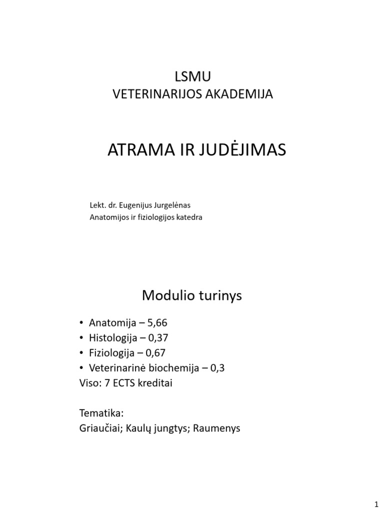 Stuburas | PDF