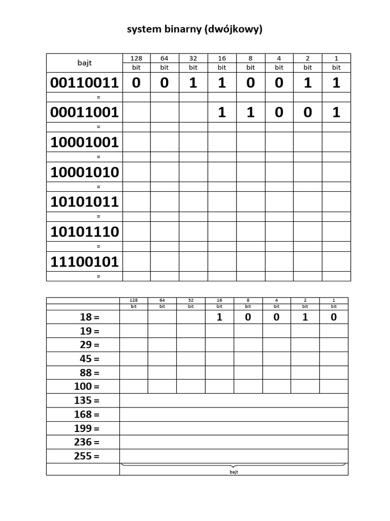 Inf System Binarny | PDF | Teaching Methods & Materials