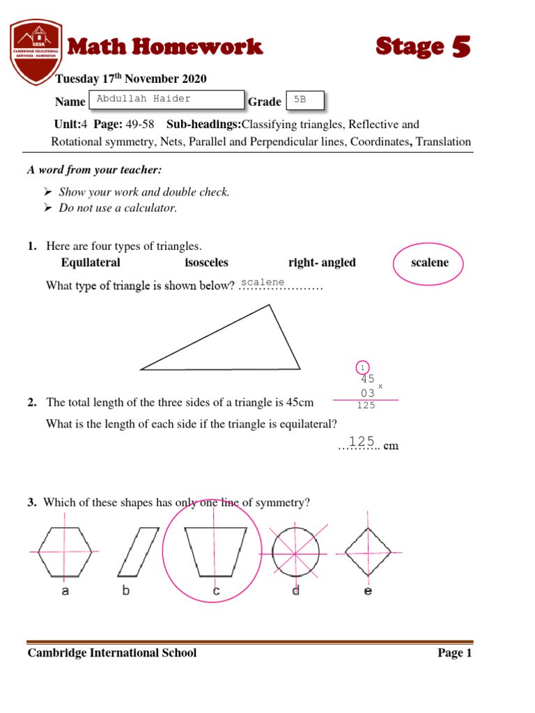 Stage 5 Math Homework | PDF | Triangle | Rectangle