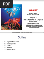 Virtual Microscope by BIONETWORK: Name: - Date | PDF | Microscope ...