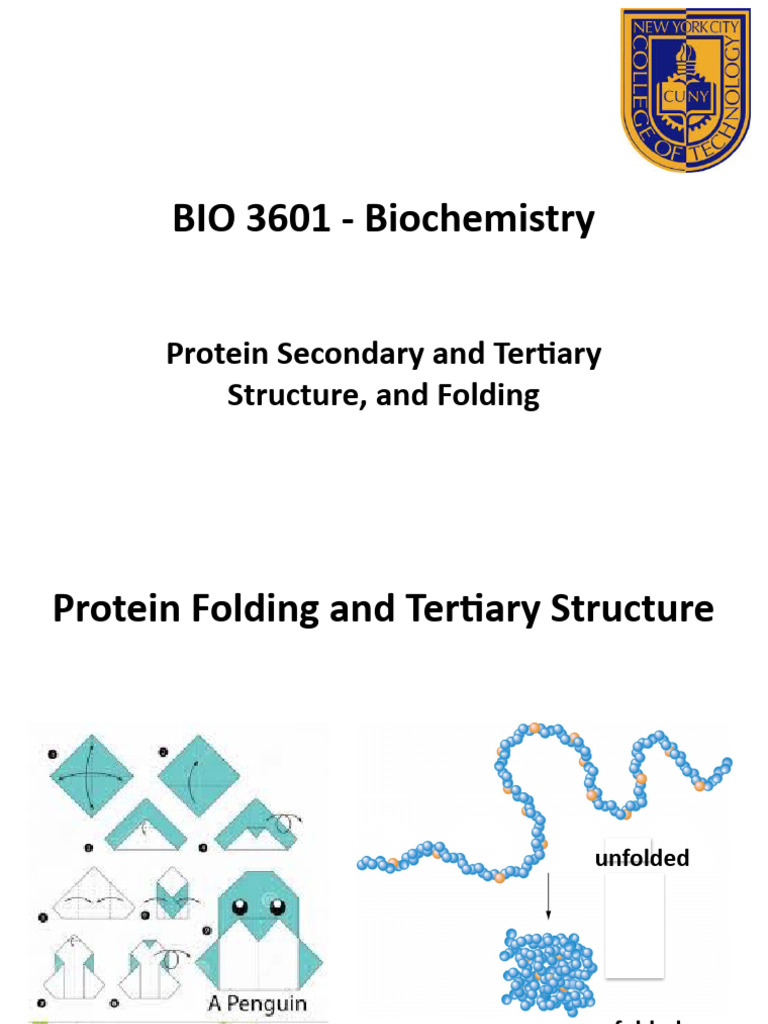 Lec 04 Protein Secondary Tertiary Structure Protein Folding