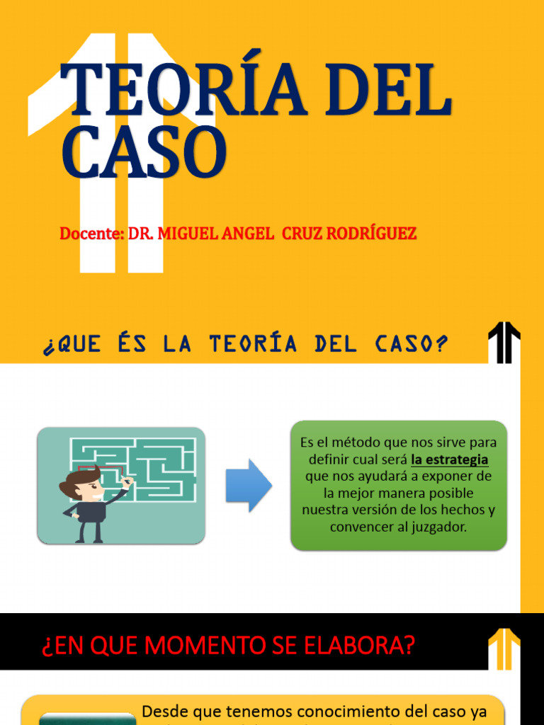 La Teoría Del Caso | PDF | Derecho penal | Justicia