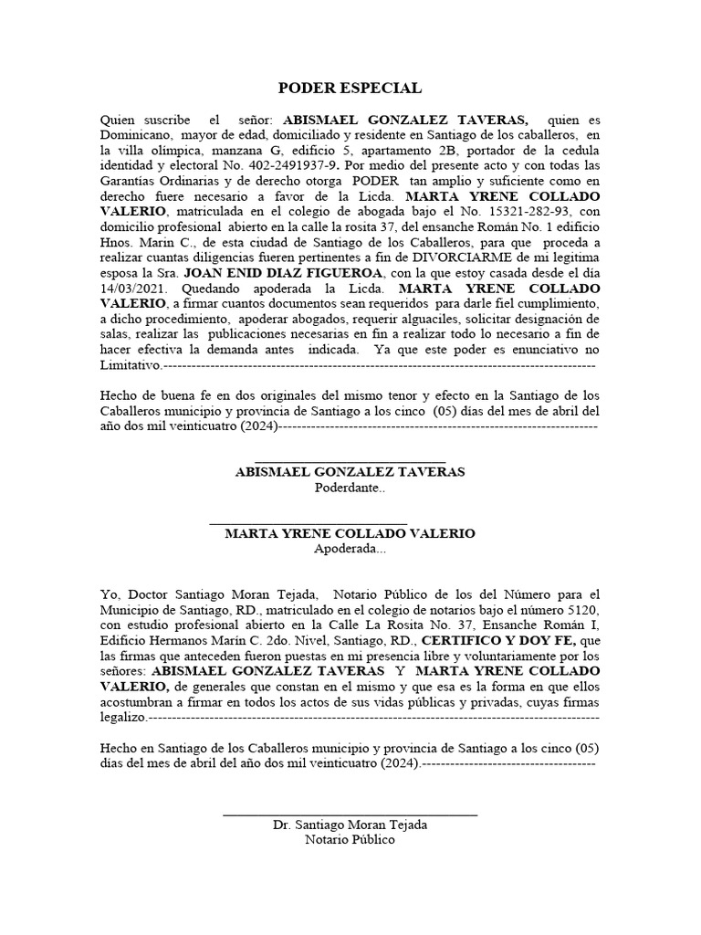 Poder Especial | PDF | Gobierno