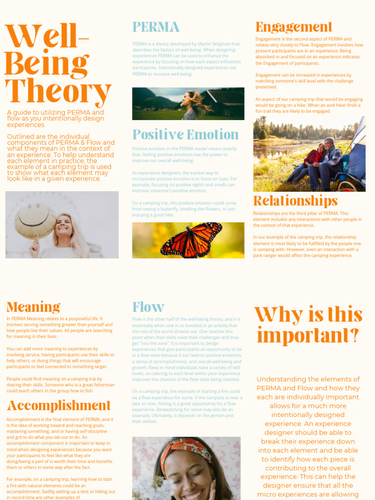 Well-Being Theory | PDF | Well Being | Experience