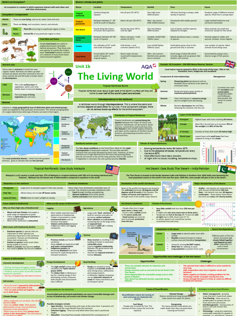 2 Paper 1 The Living World | PDF | Rainforest | Tropics