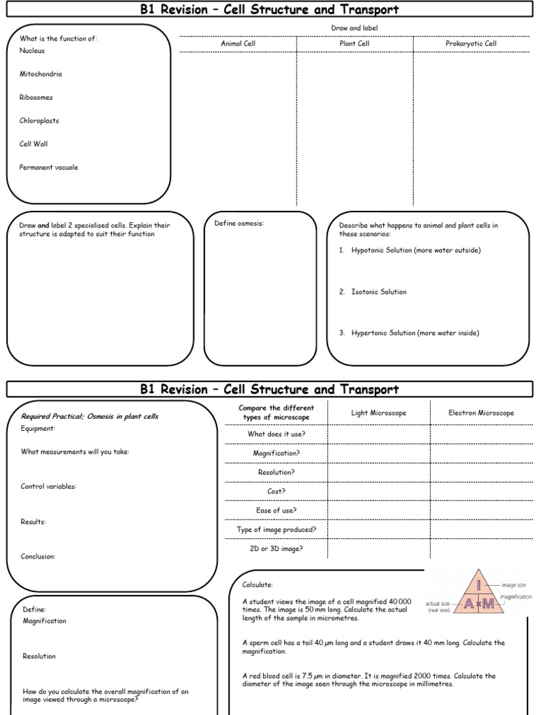 Cell Biology Paper 1 Revision Sheets | PDF | Cell (Biology) | Osmosis