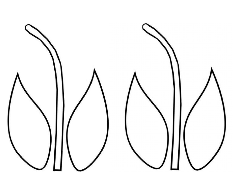 Tulpina Floare | PDF