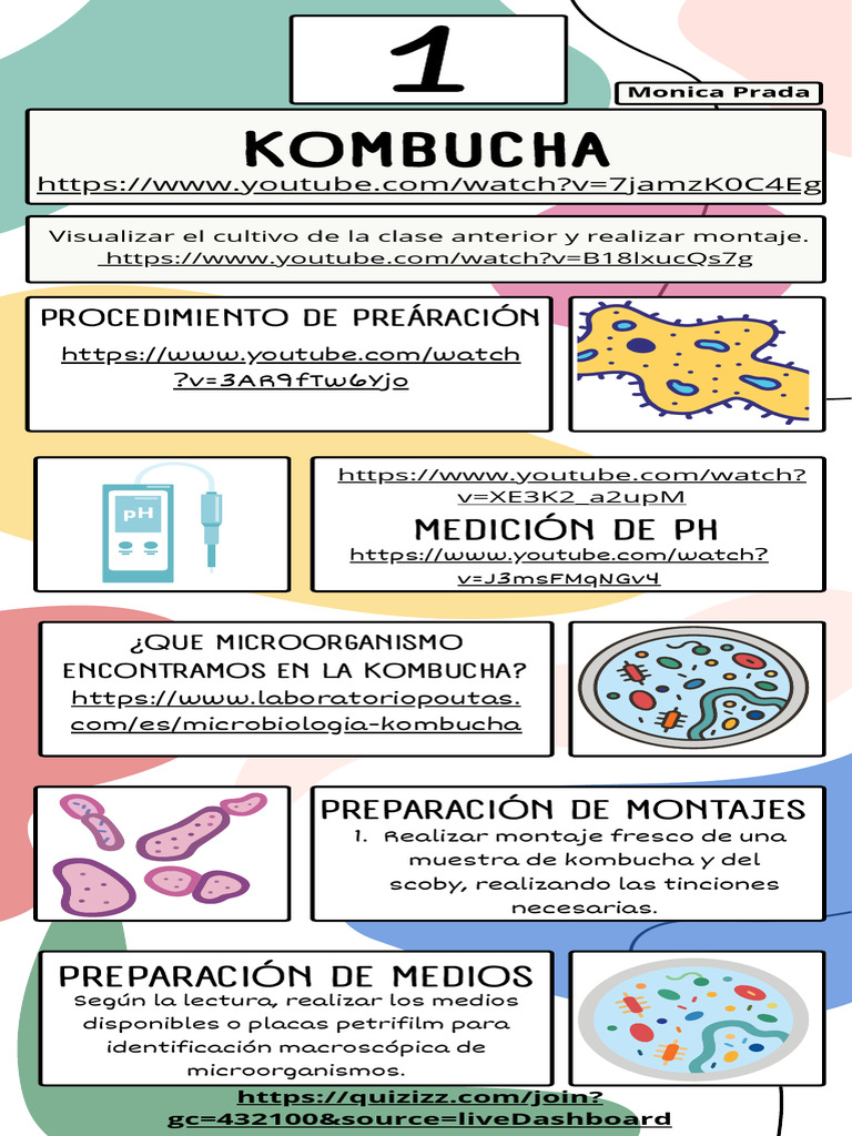 Presentación Kombucha 2 | PDF