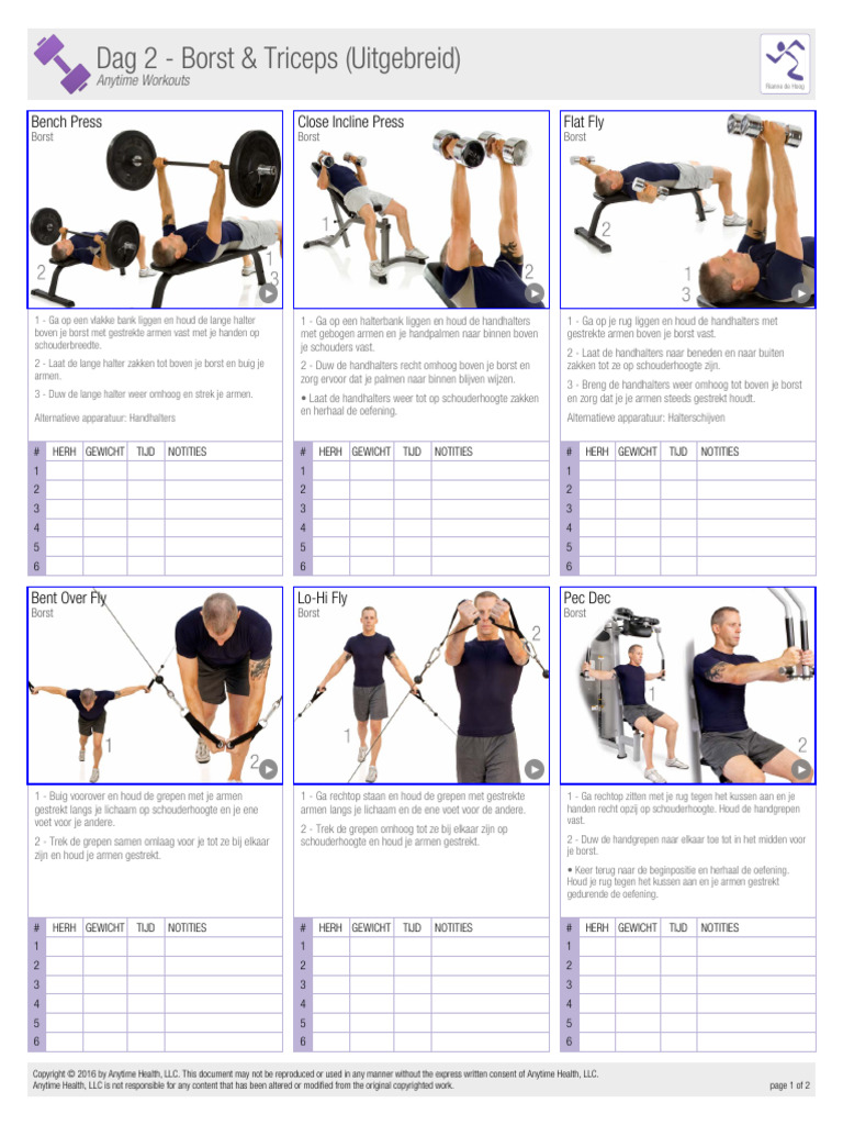 Dag 2 Borst & Triceps | PDF