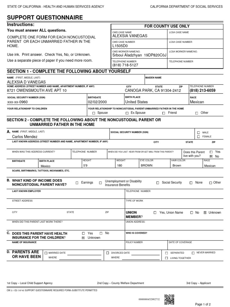 Support Questionnaire | Download Free PDF | Insurance | Welfare