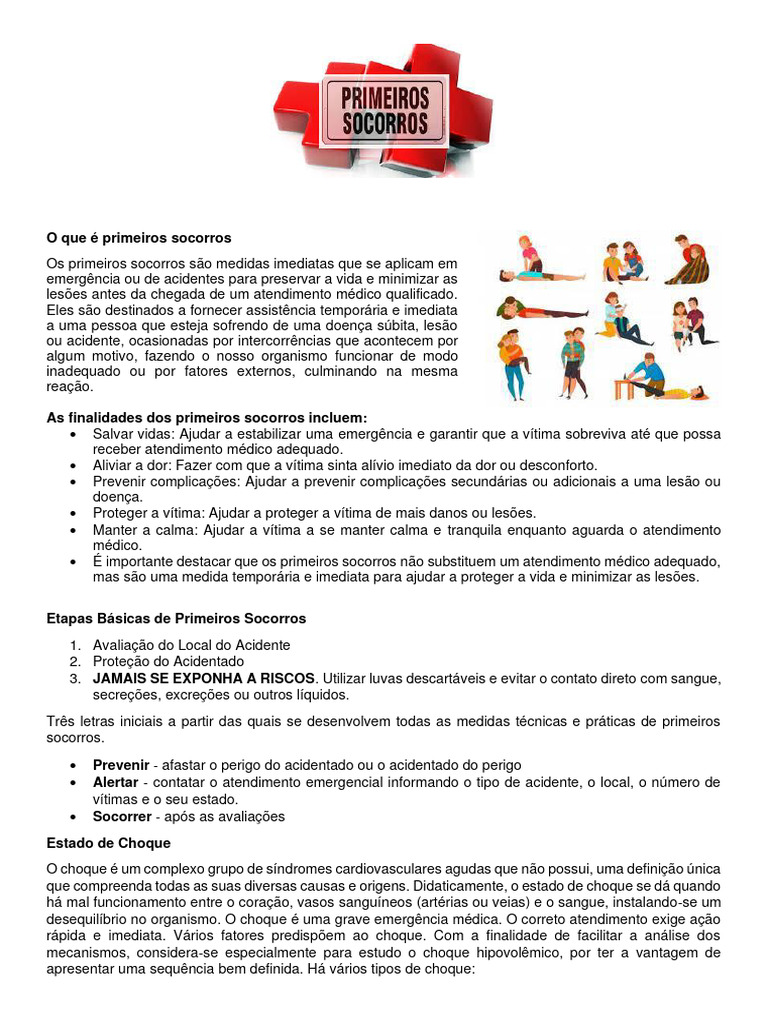 Primeiros Socorros | PDF | Queimadura | Raiva