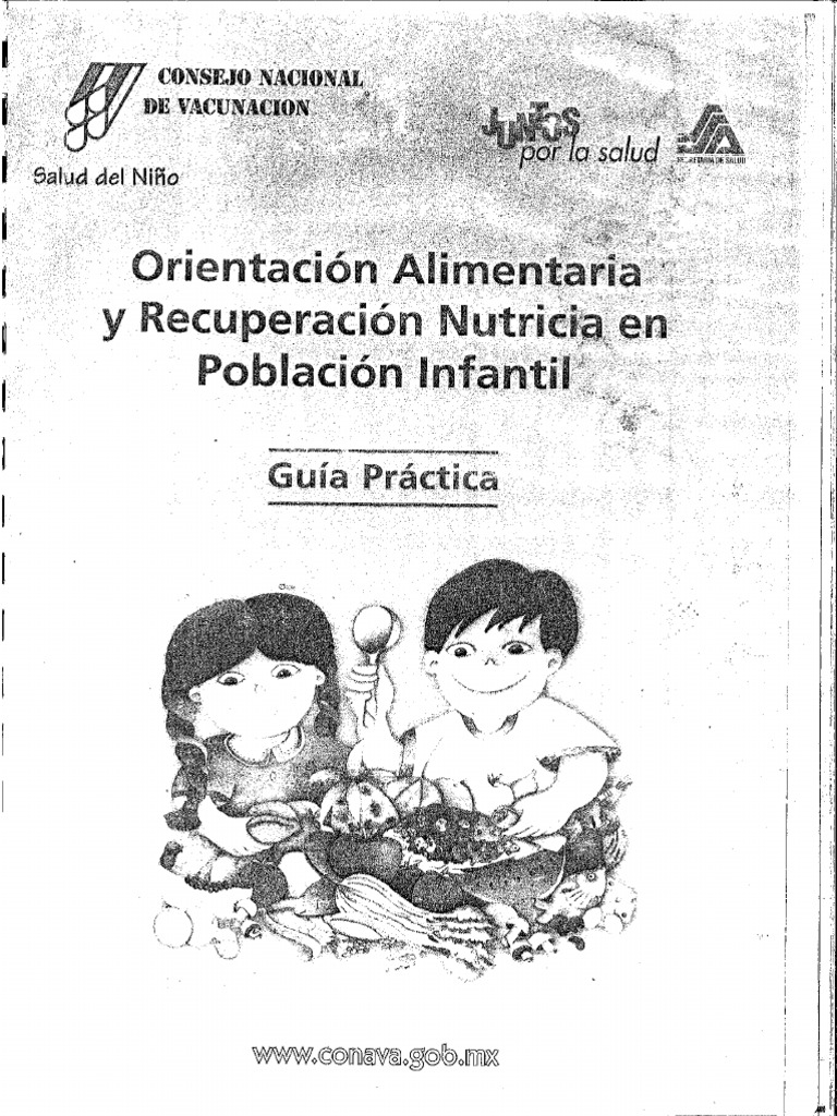Guía Practica Orientacion Alimentaria y Rec Nutricia Pob Inf 1999 | PDF