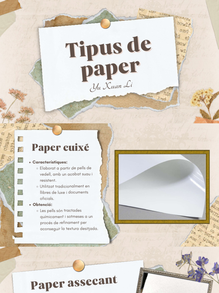 Tipus de Paper | PDF