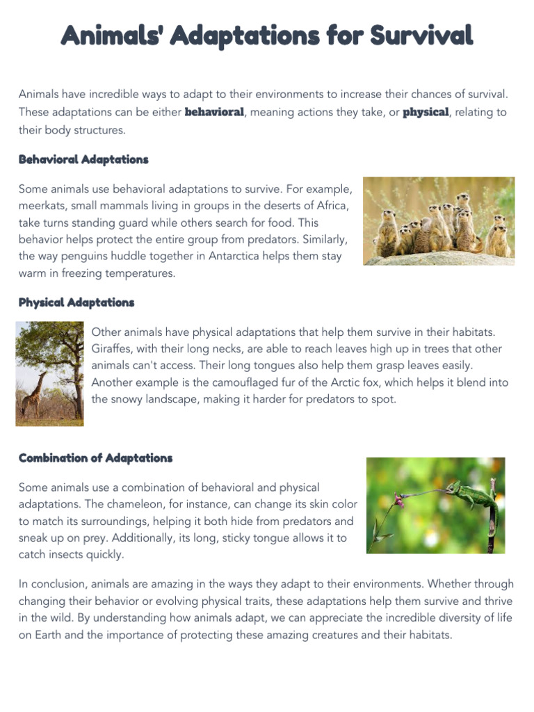 Animals' Adaptations For Survival | PDF | Adaptation | Predation