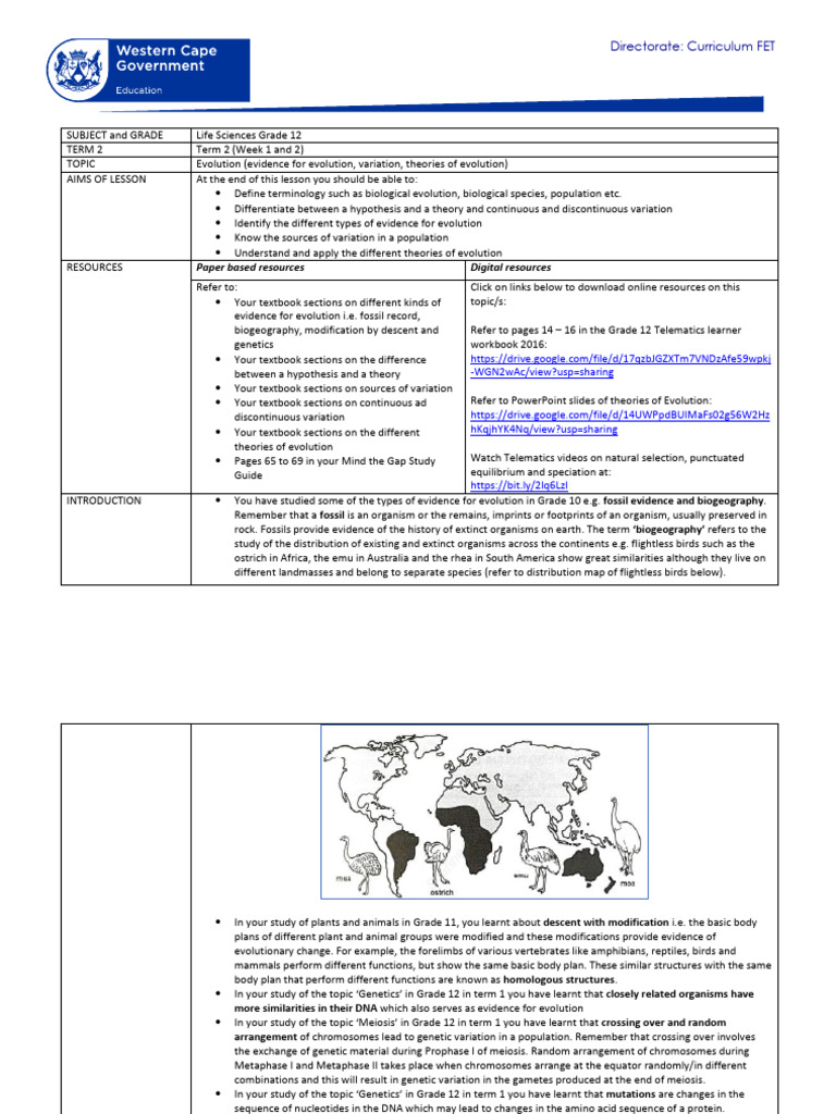 Grade 12 Evolution Lesson Guide | PDF | Evolution | Genetic Variation