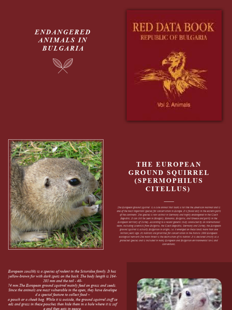 Bulgaria's Endangered Wildlife | PDF | Zoology