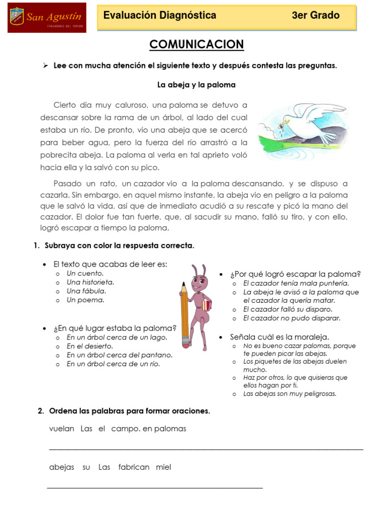 Examen Diagnóstico 3er Grado Primaria | PDF | Tortita