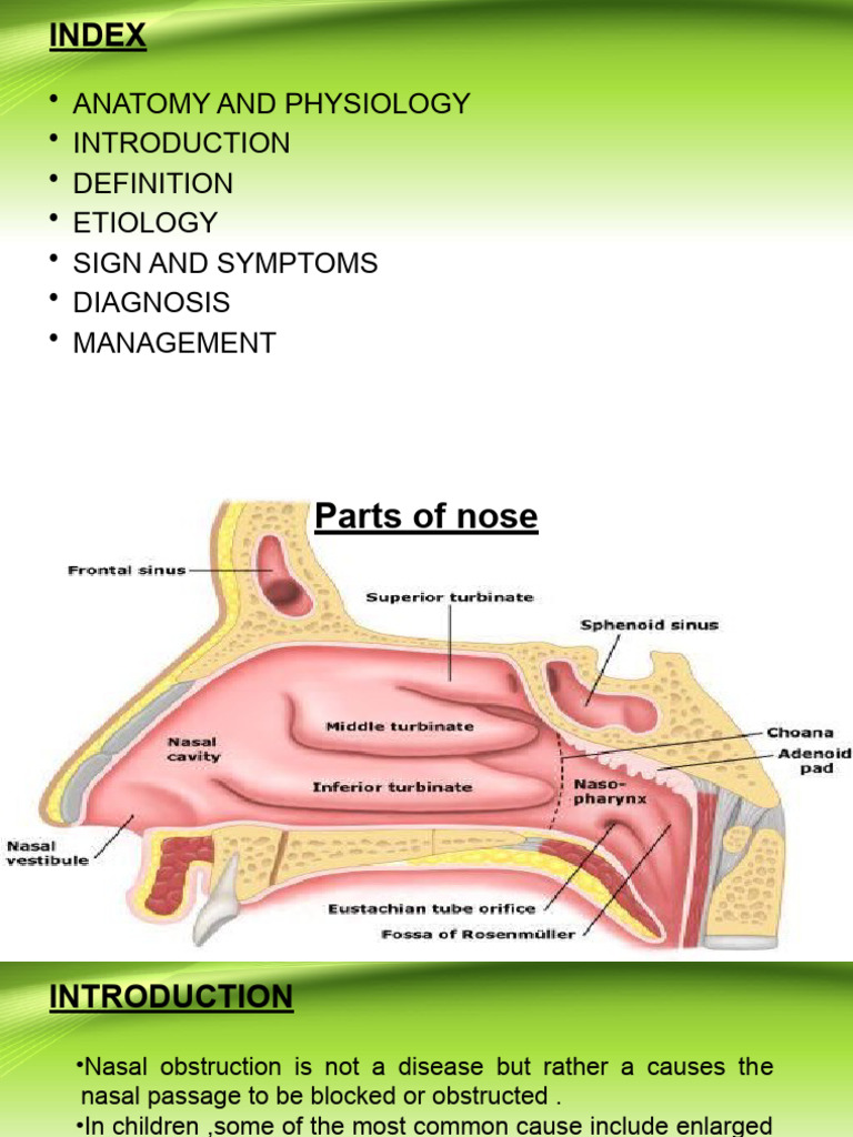 Nasal Obstruction | Download Free PDF | Human Nose | Clinical Medicine