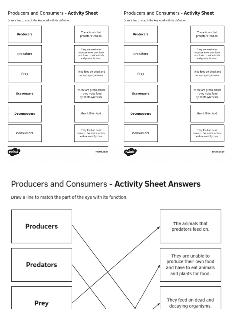 Producers and Consumers Activity Guide | PDF | Predation | Foods