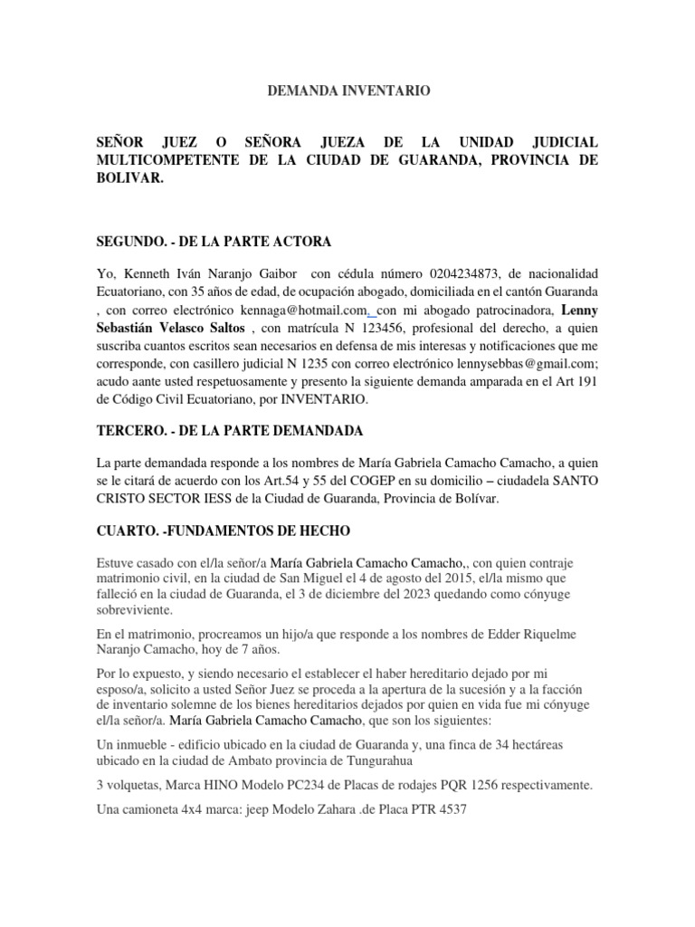 DEMANDA DE INVENTARIO | PDF