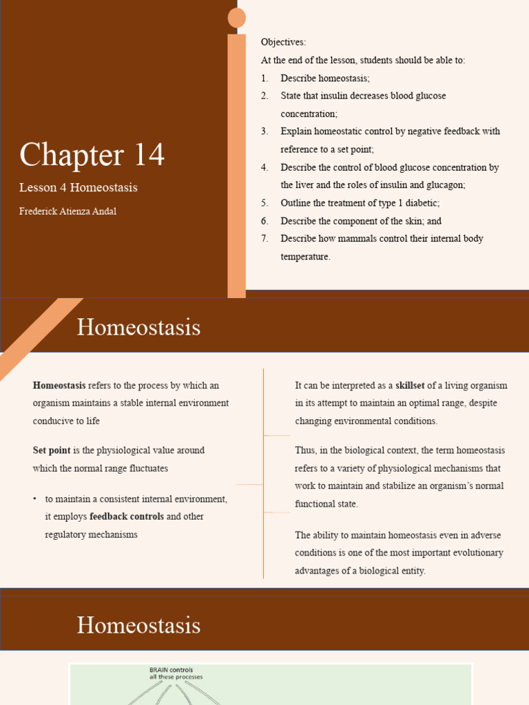 Chapter 14 Lesson 4 Homeostasis | Download Free PDF | Homeostasis | Skin