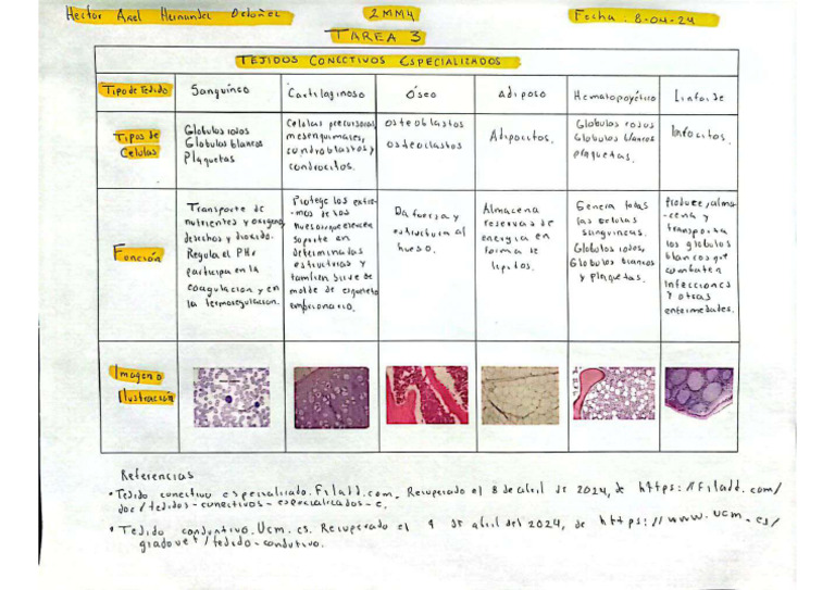 Tarea 3. Tipos de tejidos Conectivos Especializados_Hector Axel ...