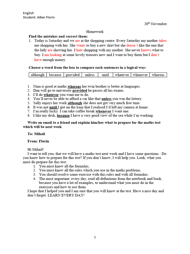 English Homework by Albei Florin | PDF