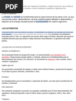 Importancia de los CHONPS en la vida | PDF | Alimentos | Nutrientes