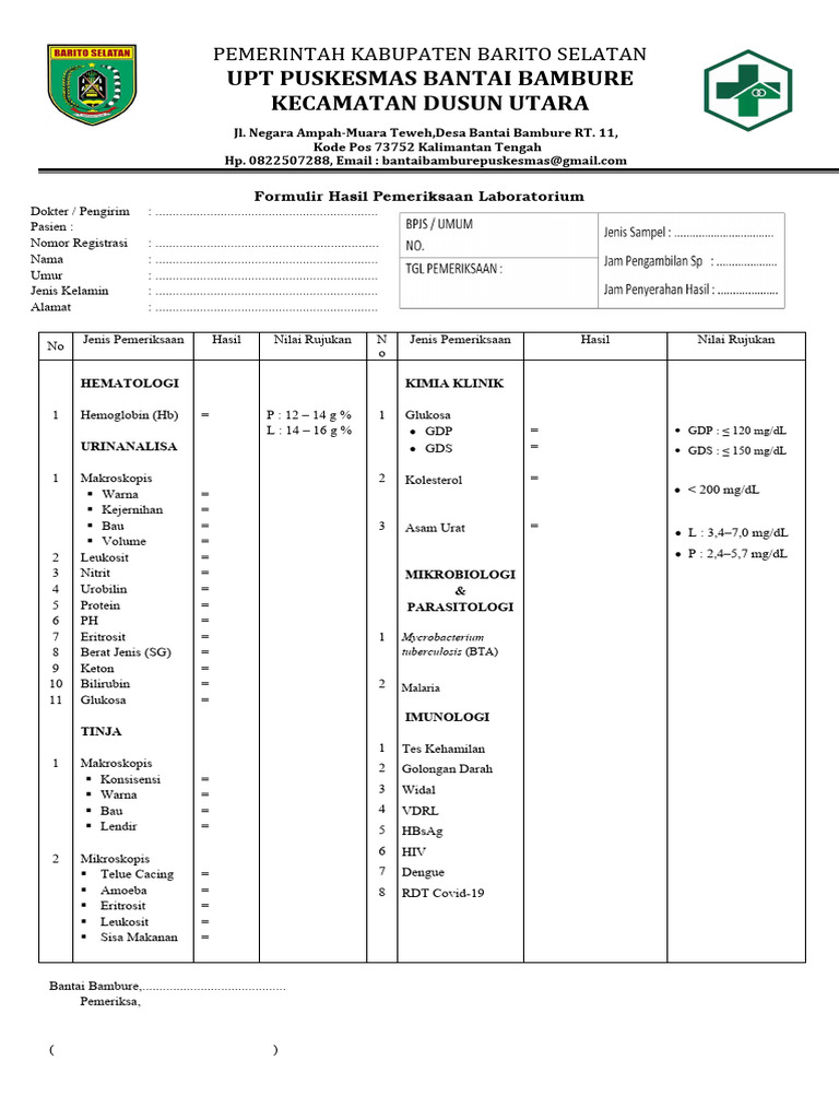 Formulir Hasil Lab Puskesmas | PDF