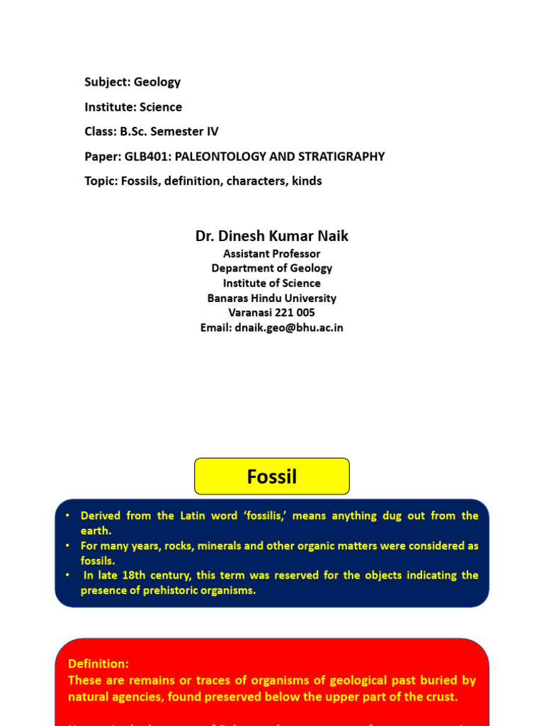 DKN 3 - Fossils, Definition, Characters, Kinds | PDF | Fossil | Limestone