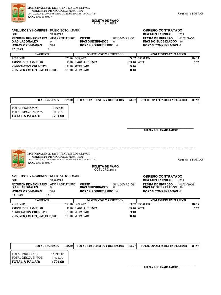 Boletas de Pago de María Rubio 2014-2017 | PDF | Relaciones Industriales | Labor