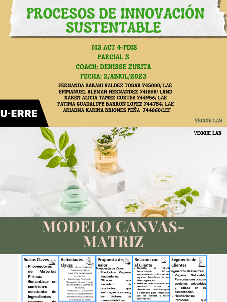 Procesos M3 Act 4 - 20240402 - 214631 - 0000 | PDF | Veganismo | Marketing