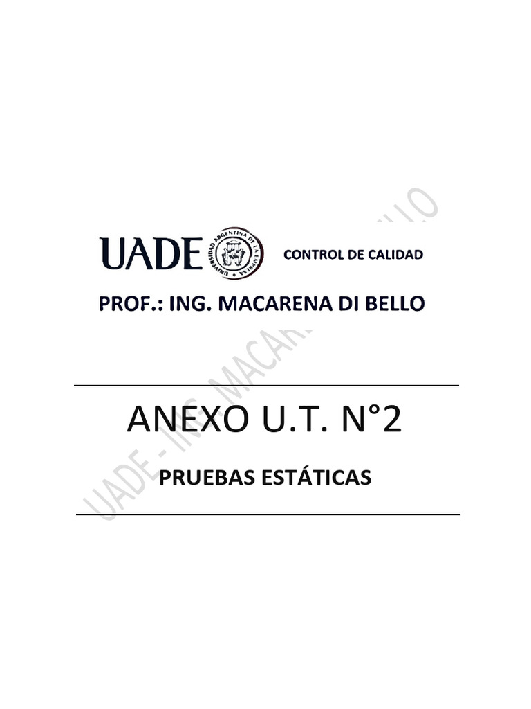 Devid - Qa - Ut2 - Anexo - Pruebas Estáticas - Teoria | PDF | Software | Lenguaje de programación